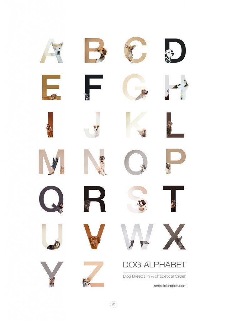 Artist Creates Adorable Dog Alphabet By Using The First Letter Of Their ...