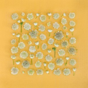 Emily Blincoe's Visually Soothing Arrangements Will Make Your Day - Art ...