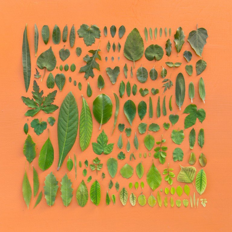 Emily Blincoe's Visually Soothing Arrangements Will Make Your Day - Art ...