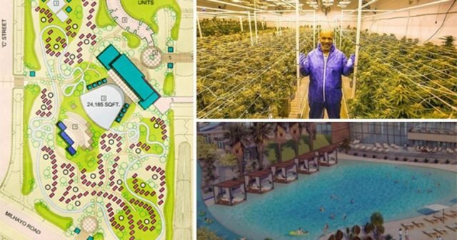 First Look at Mike Tyson’s Luxurious 407-Acre Cannabis Resort - Art-Sheep