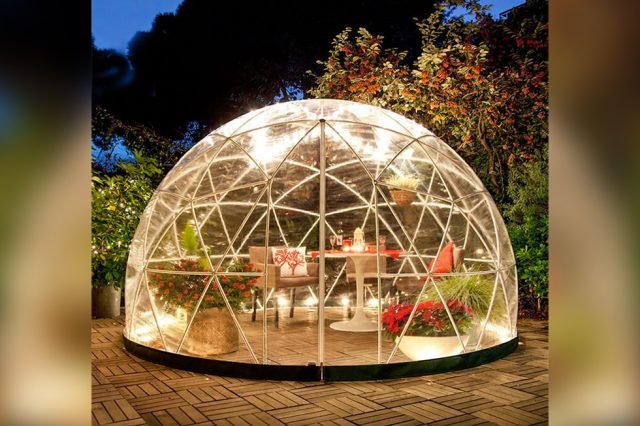 Transform your Garden With This Transparent Garden Igloo. - Art-Sheep